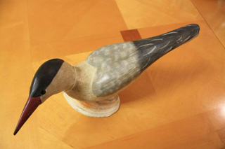 Bayside History Museum - Shop